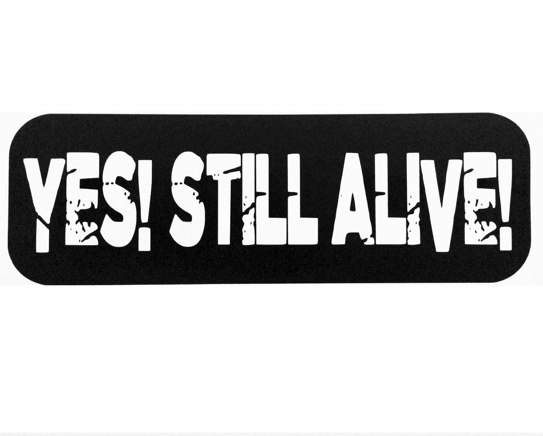 Tomb Raider Decal Lara Croft Bumper Window Sticker Yes! Still Alive ...