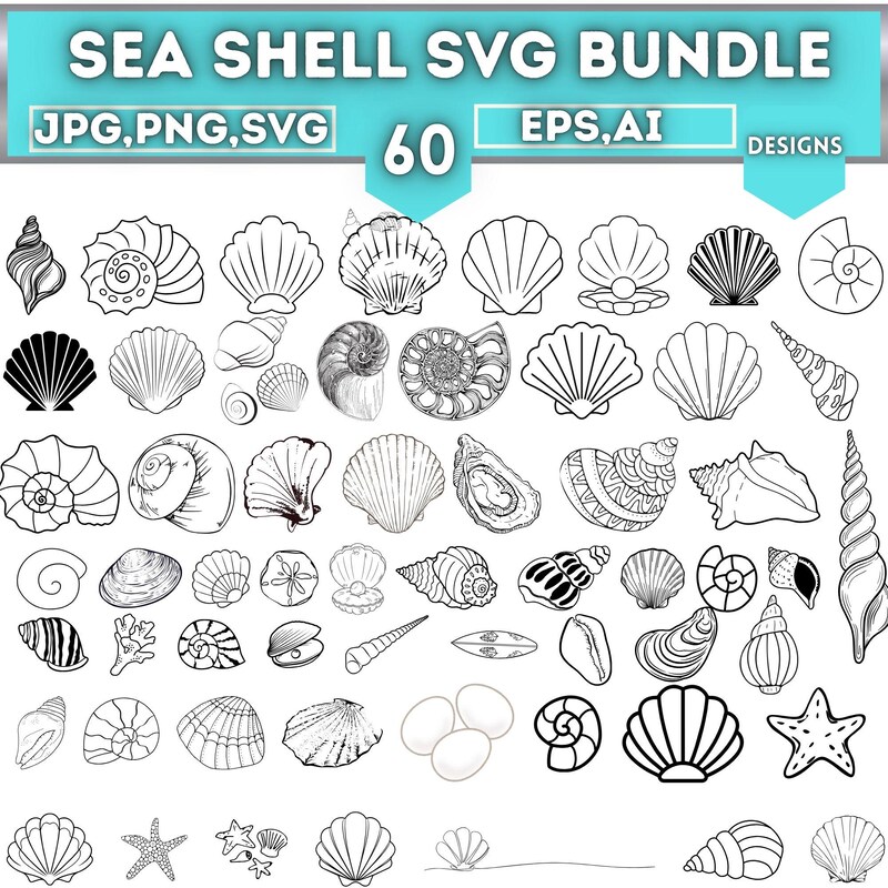 Sand Dollar Clip Art - Etsy