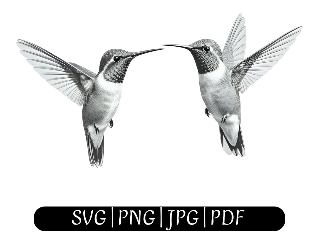 Two Hummingbirds Art Print – Realistic Hummingbird Illustration, Bird ...
