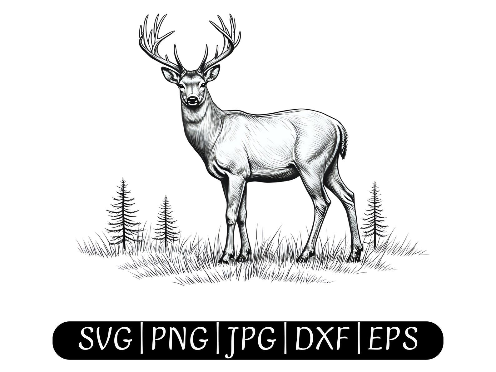 Big Buck | SVG PNG JPG Eps Dxf| Deer | Deer Buck Design | Deer Art ...