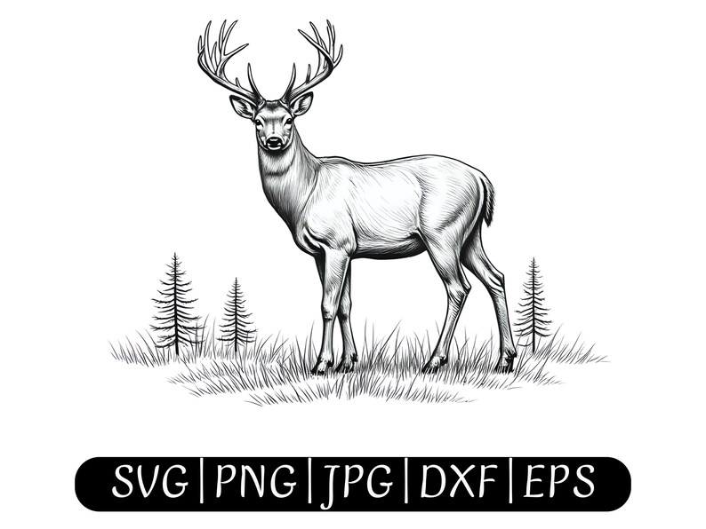 Big Buck | SVG PNG JPG Eps Dxf| Deer | Deer Buck Design | Deer Art ...