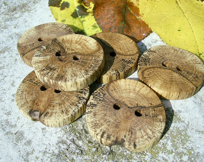6 Spalted OAK Tree Branch Buttons Around 1 1/2 Inches in - Etsy