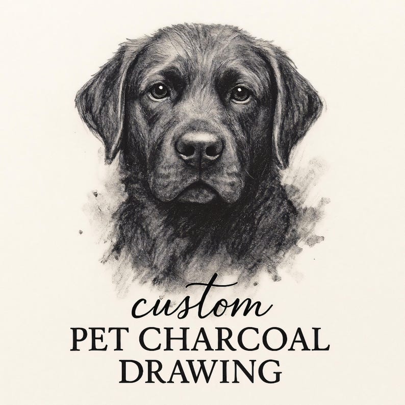 Custom Charcoal Pet Portrait From Photo, Personalized Cat Dog Drawing ...