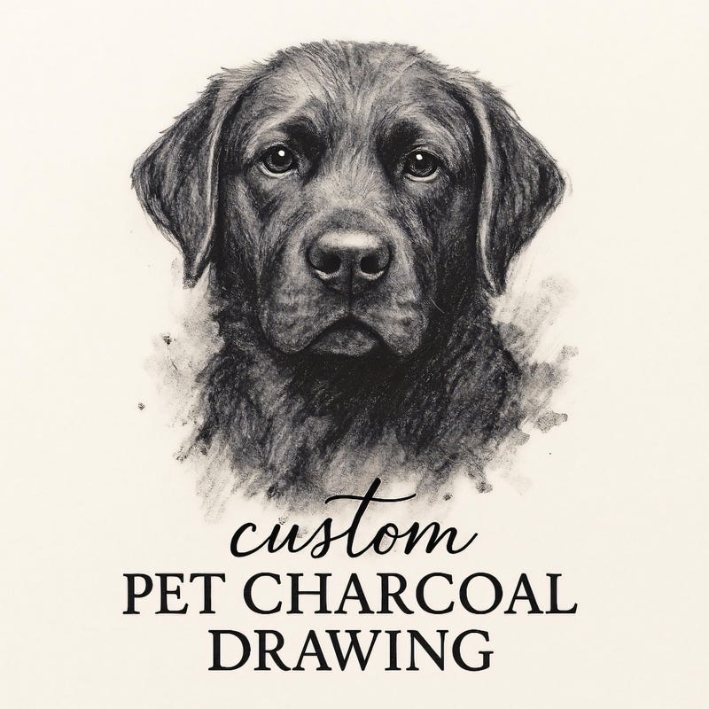 Cat Charcoal Drawing Etsy Uk