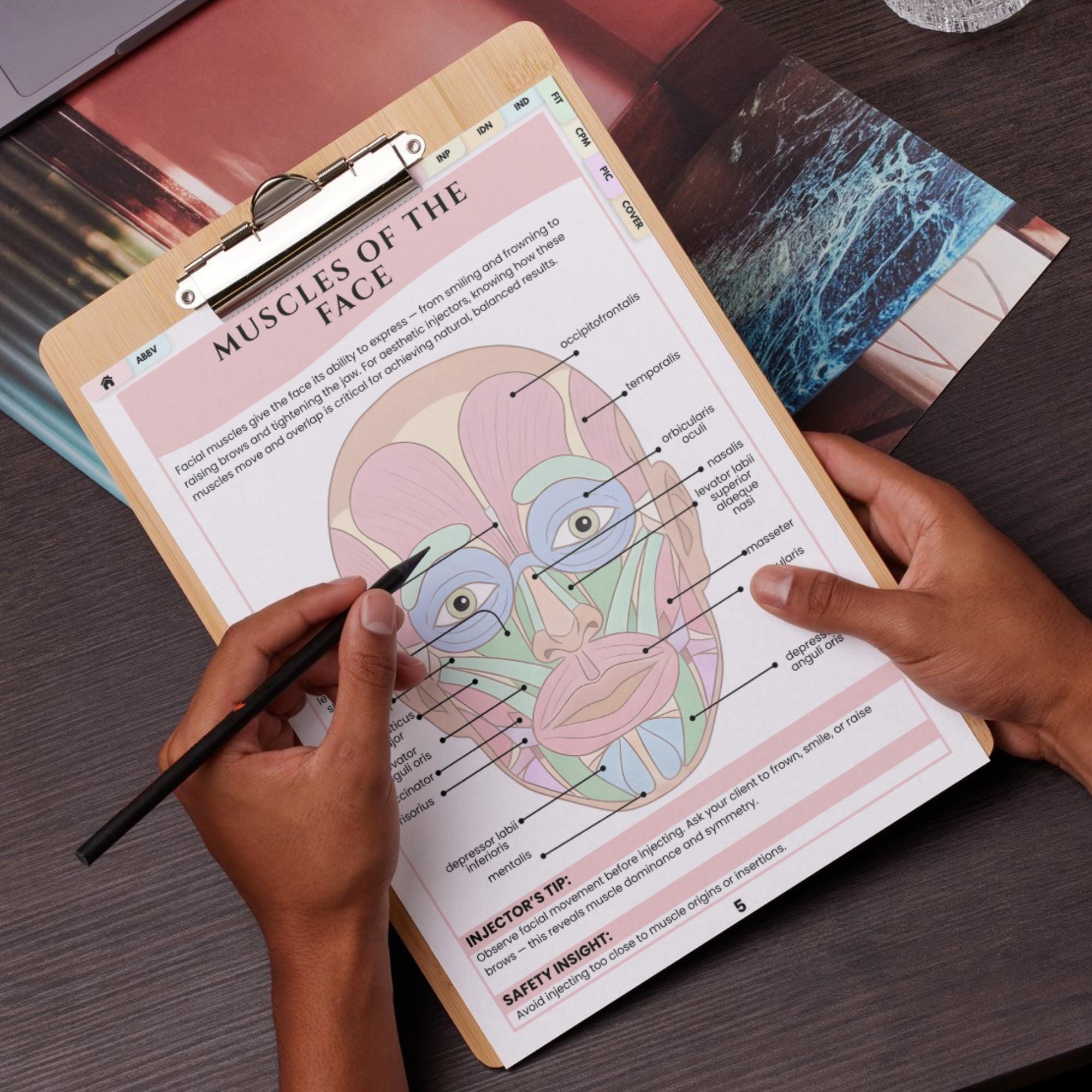 Injector’s Anatomy Guide | Aesthetic Nurse Study Guide | Bonus ...