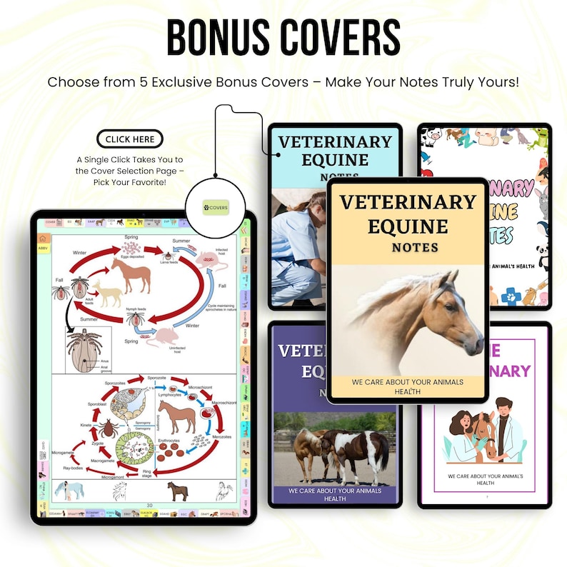 Equine Veterinary Notes Bundle Hyperlinked, Equine Medicine Notes ...