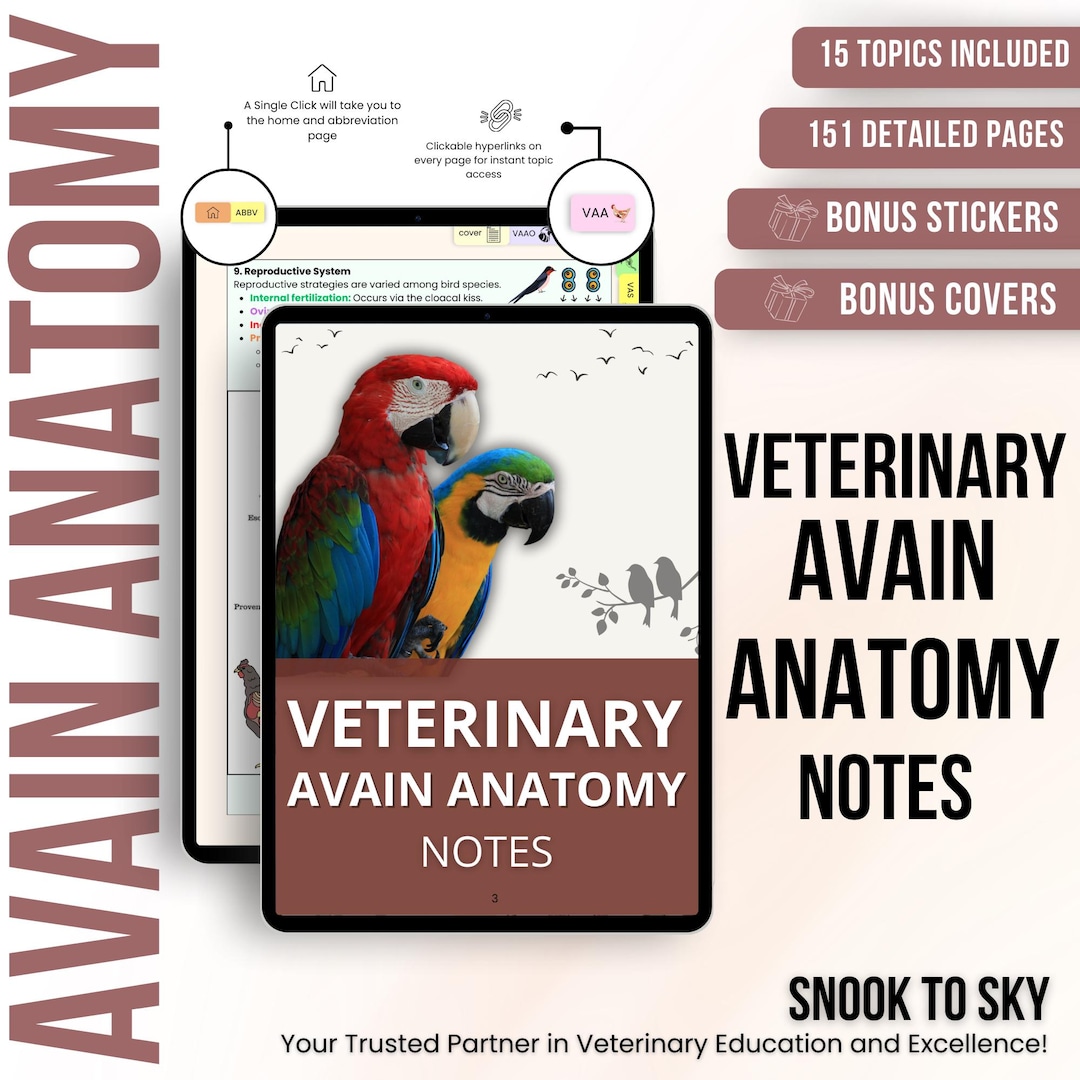 150+ Veterinary Avian Anatomy Bundle Hyperlinked, Veterinary Nurse ...