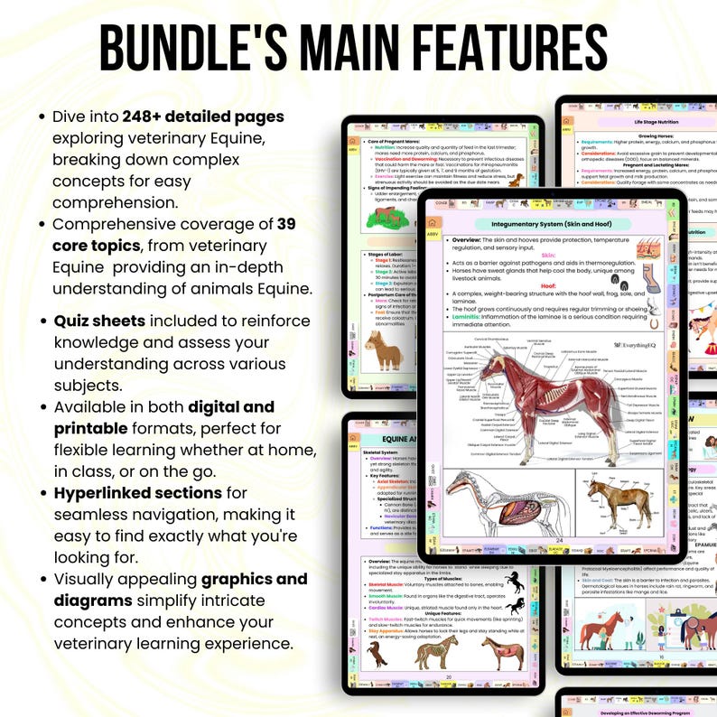 Equine Veterinary Notes Bundle Hyperlinked, Equine Medicine Notes ...