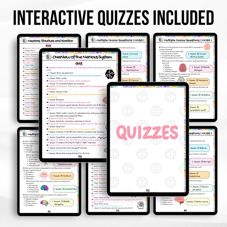 100+ Nervous System Notes Hyperlinked, Bonus Flashcards Stickers Study ...