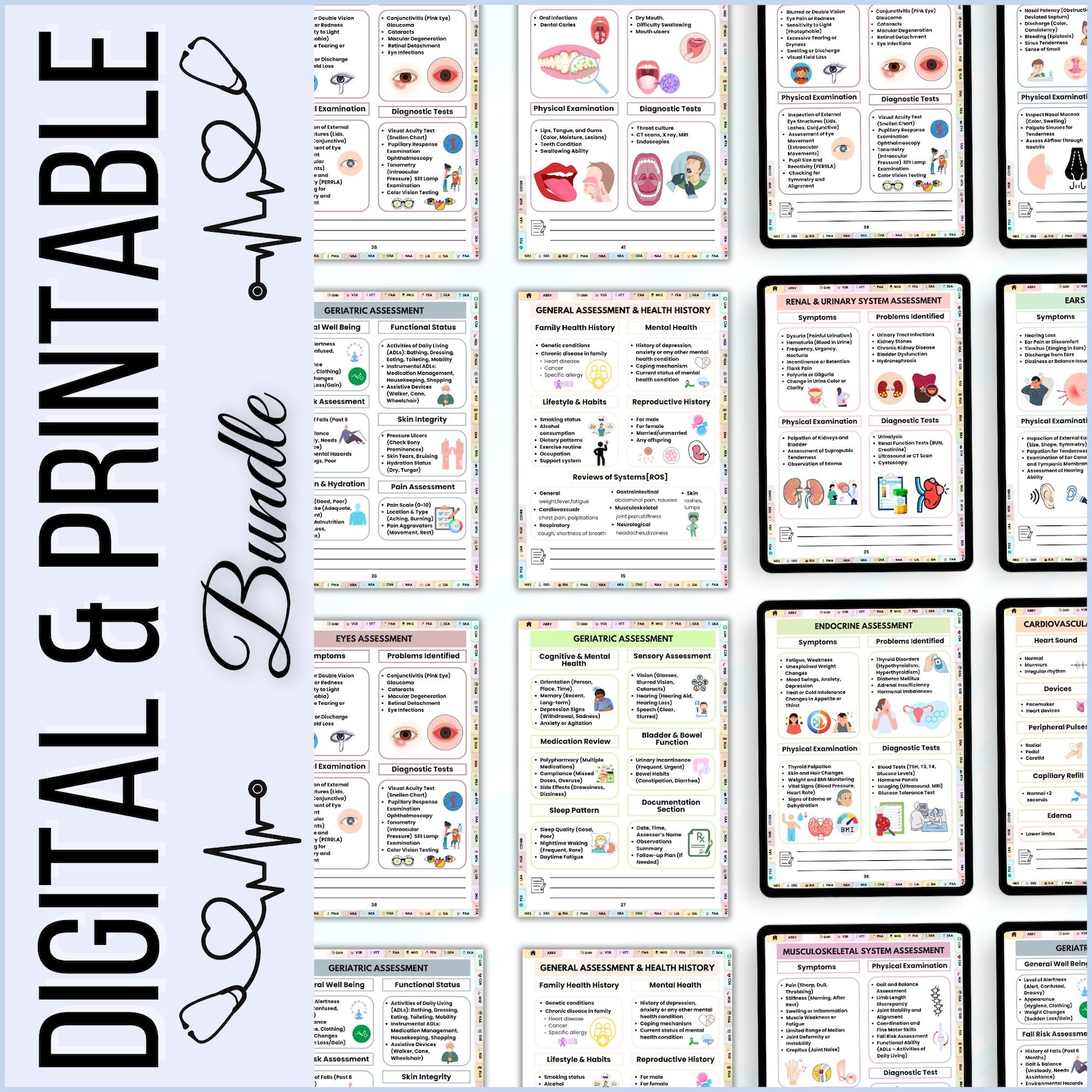 Health Assessment Nursing Bundle, Health Assessment Guide, Nursing ...