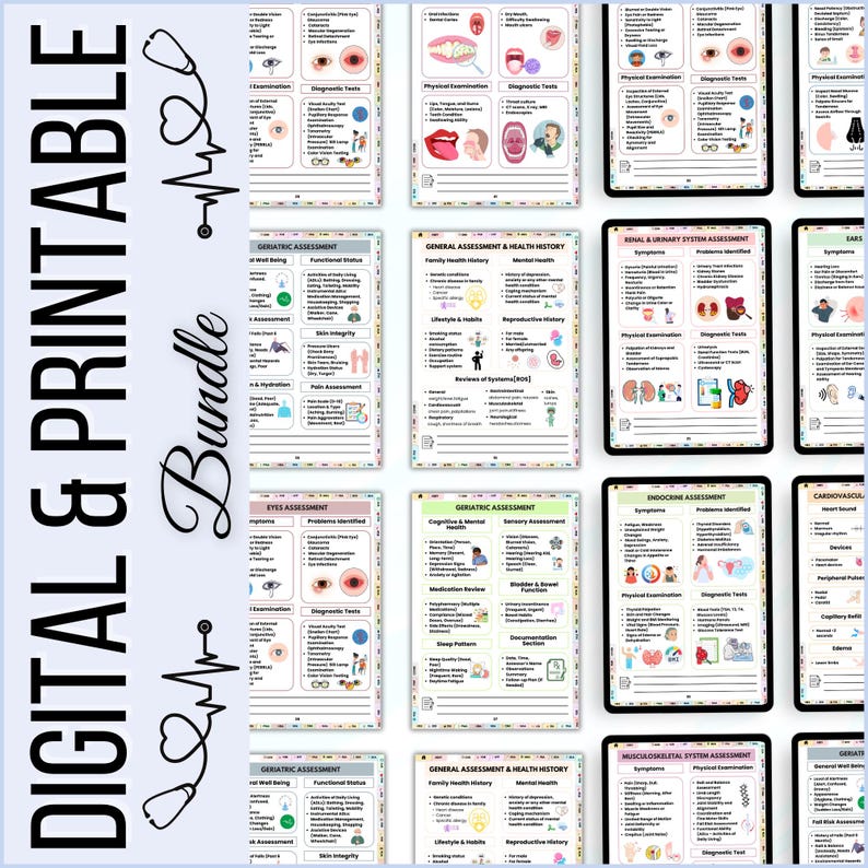 Health Assessment Nursing Bundle, Health Assessment Guide, Nursing ...
