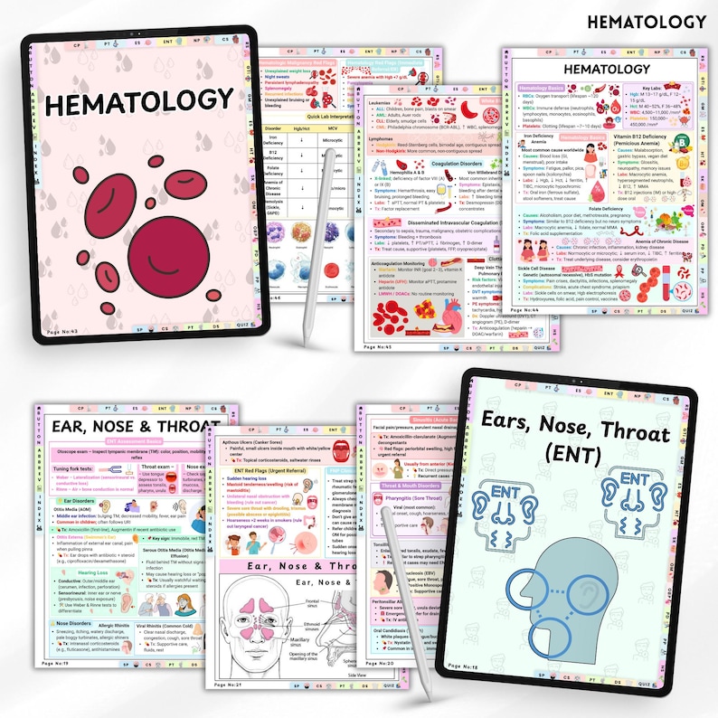 Family Nurse Practitioner Study Guide, Advance FNP Exam , 130+ Pages ...