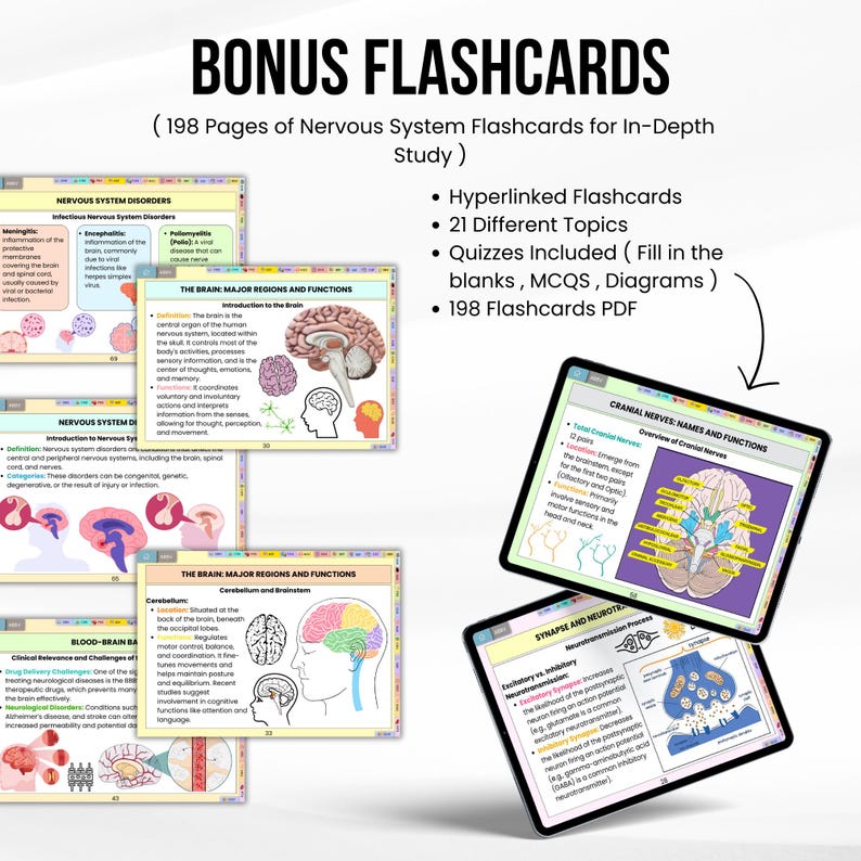 100+ Nervous System Notes Hyperlinked, Bonus Flashcards Stickers Study ...