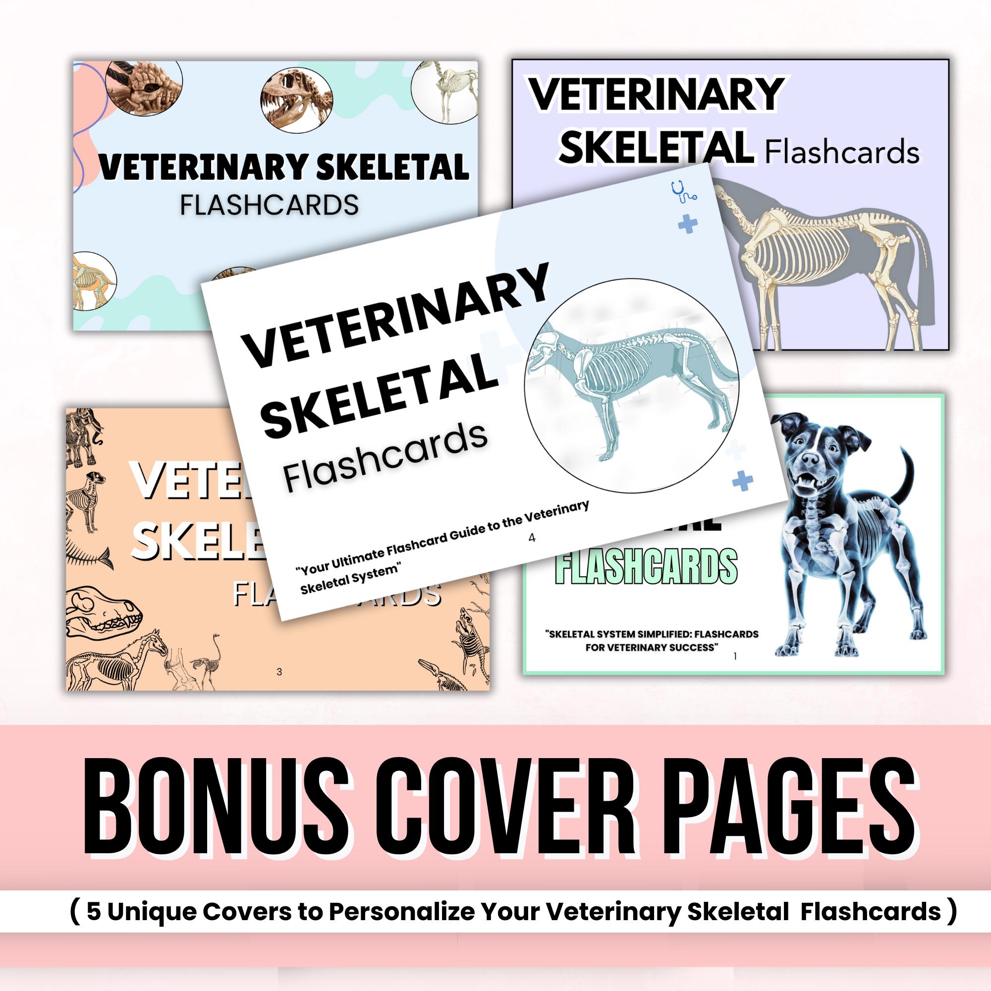 Veterinary Skeletal System Flashcard, 8+ Topic, 5 Bonus Cover Pages ...