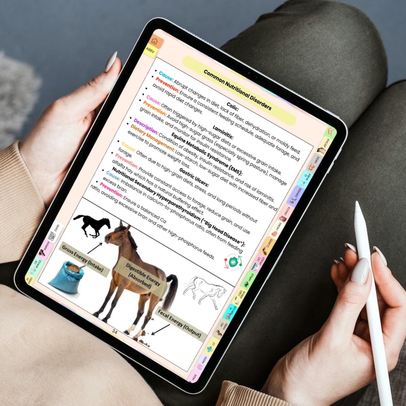 Equine Veterinary Notes Bundle Hyperlinked, Equine Medicine Notes ...