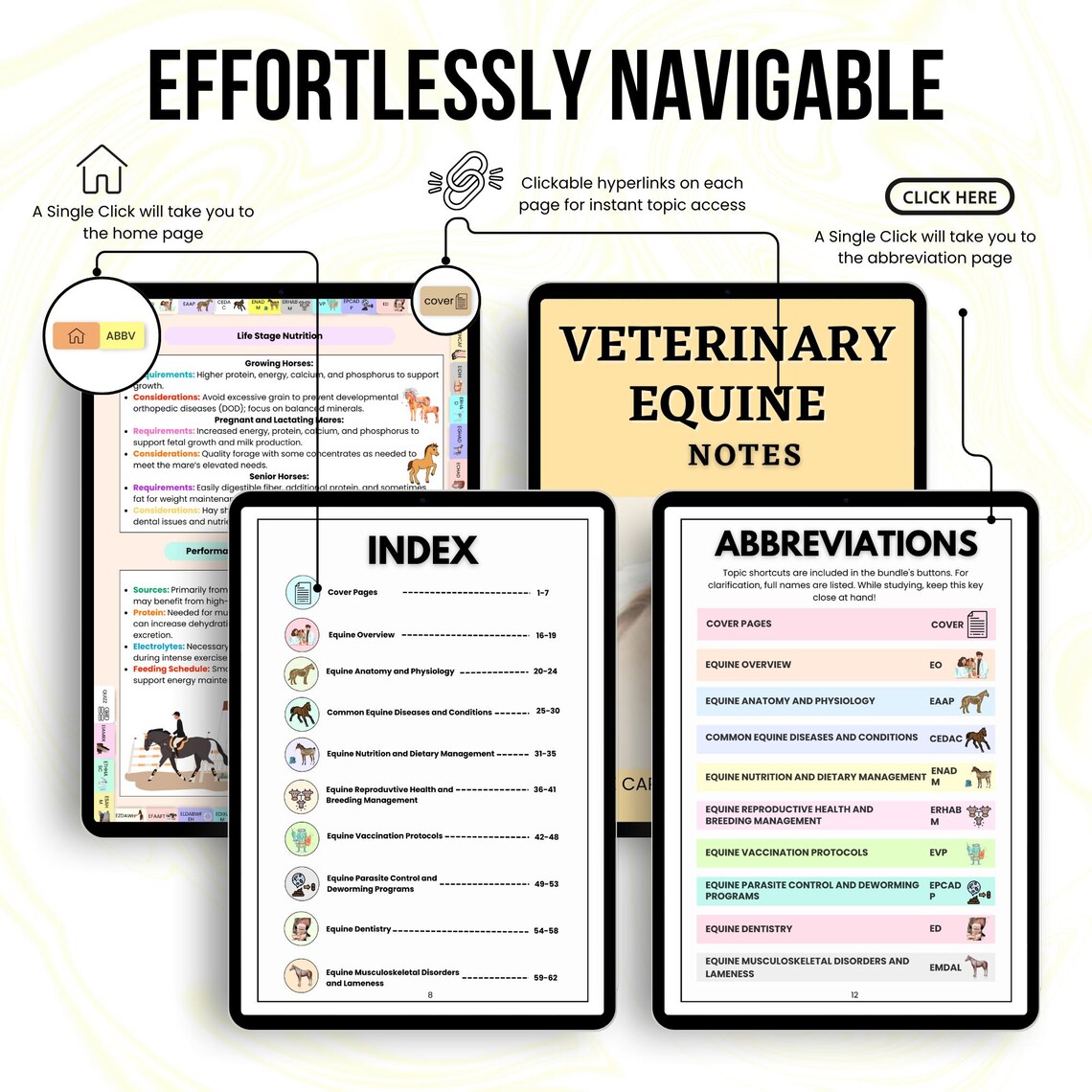 Equine Veterinary Notes Bundle Hyperlinked, Equine Medicine Notes ...