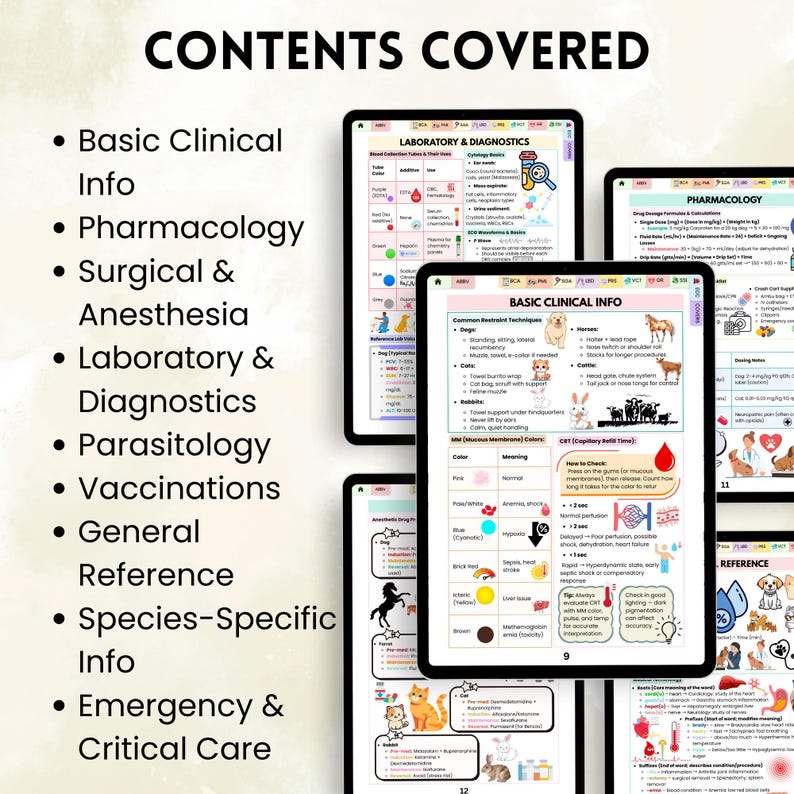 Vet Tech Cheat Sheets: Study Guide & Quick Reference (digital Download ...