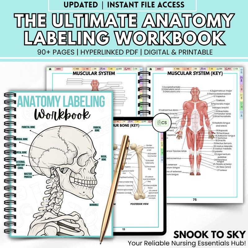Anatomy Labelling Sheets - Etsy