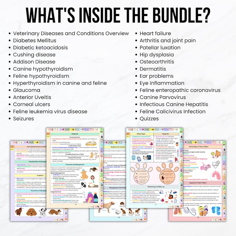 Veterinary Diseases and Conditions Bundle, Updated 2025-26, Animal ...