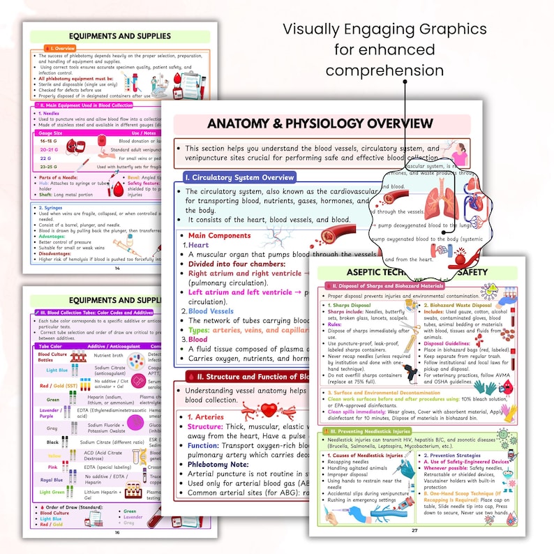 Phlebotomy Study Guide | Nursing Study Material | Anatomy Physiology ...