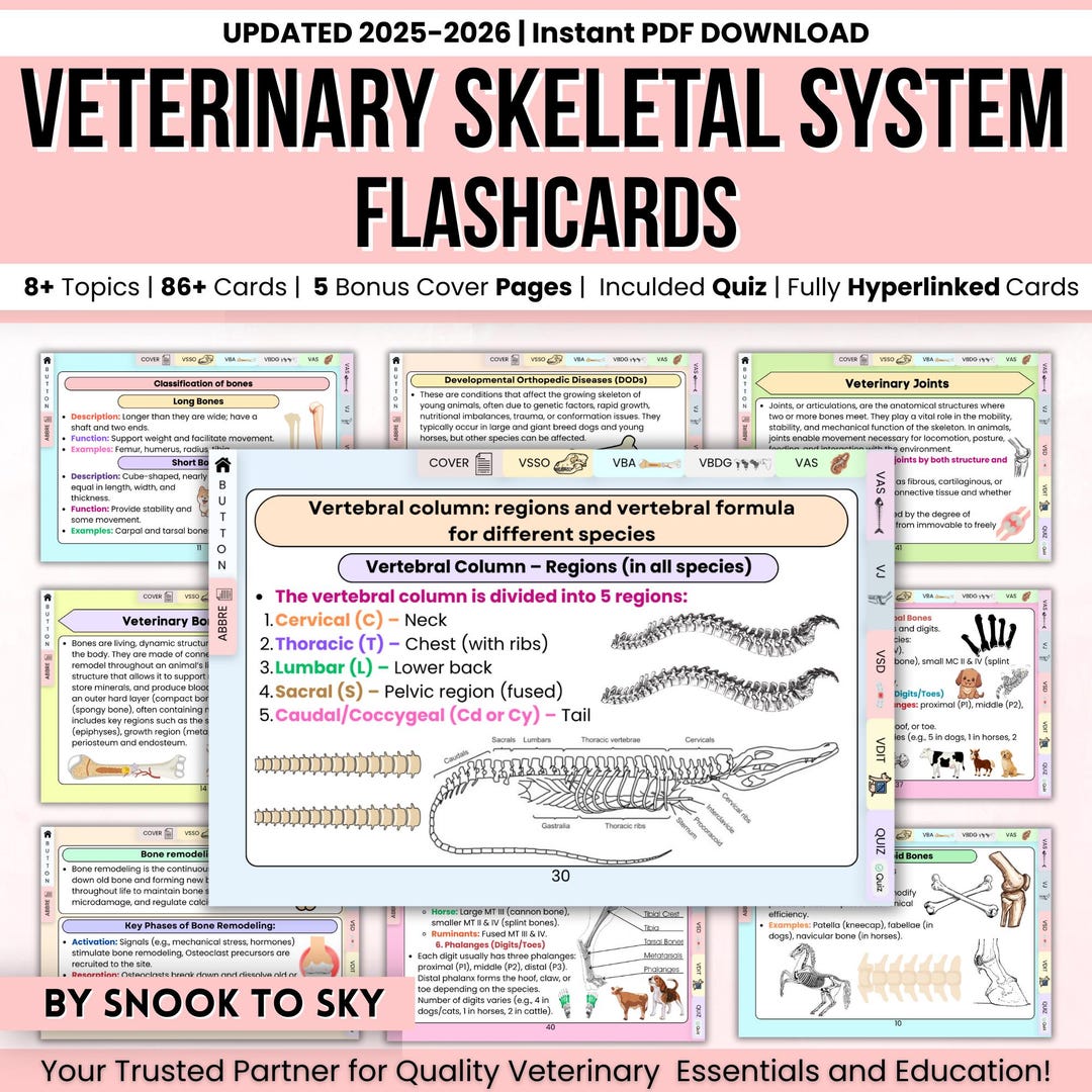 Veterinary Skeletal System Flashcard, 8+ Topic, 5 Bonus Cover Pages ...