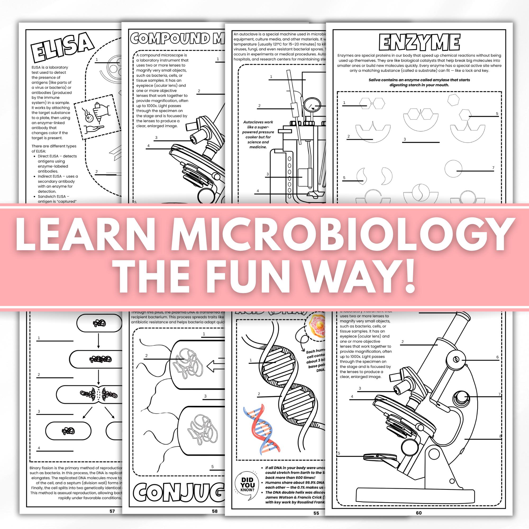 Nursing Microbiology Coloring Book Physical | Bacteria Virus Lab ...