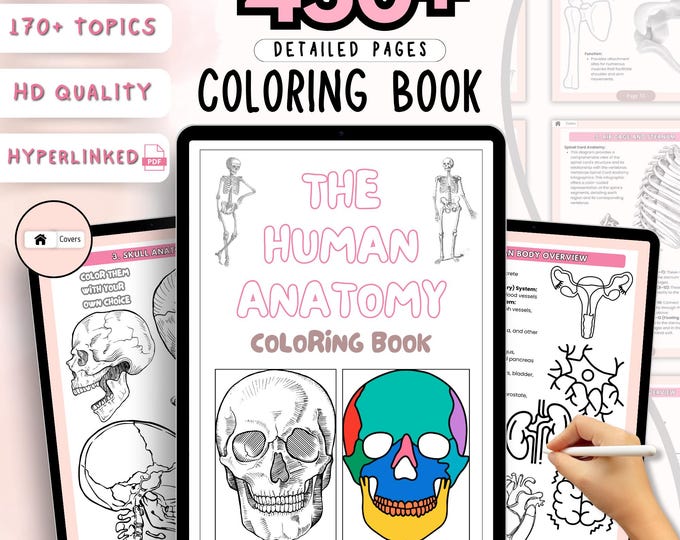 Anatomy of the Arm Coloring Page | Digital Download | Human Muscles ...