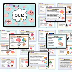 Anatomy Brain Flashcards Hyperlinked, Brain Anatomy Study, Anatomy and ...