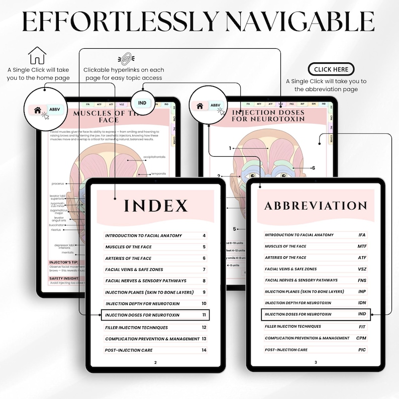 Injector’s Anatomy Guide | Aesthetic Nurse Study Guide | Bonus ...