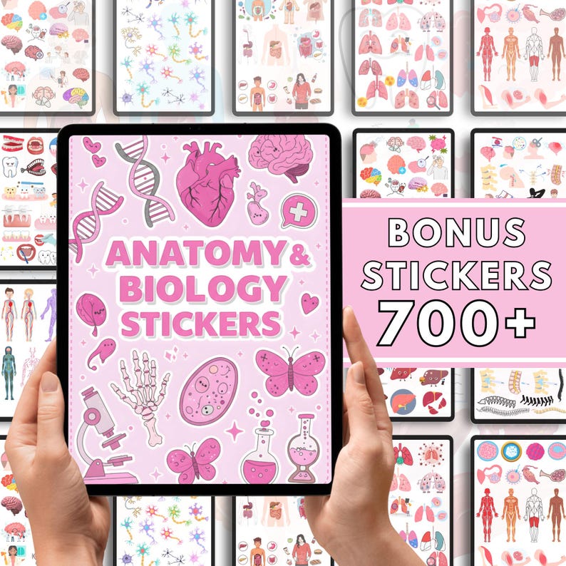 Anatomy and Physiology Cheat Sheet, A&P Nursing Study Guide, Human ...
