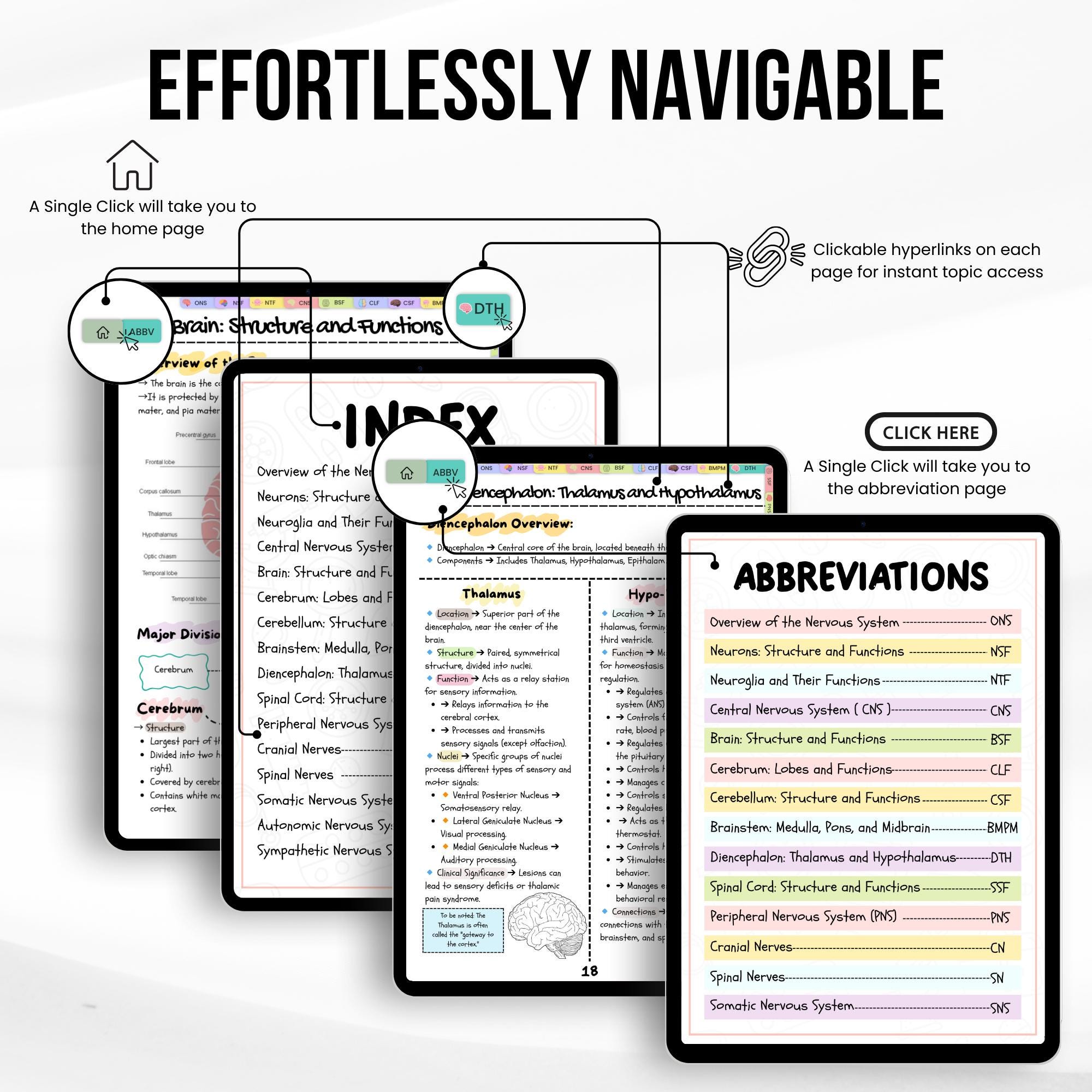 100+ Nervous System Notes Hyperlinked, Bonus Flashcards Stickers Study ...