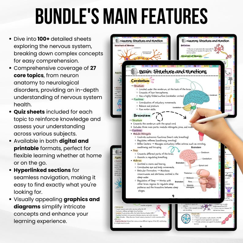 100+ Nervous System Notes Hyperlinked, Bonus Flashcards Stickers Study ...