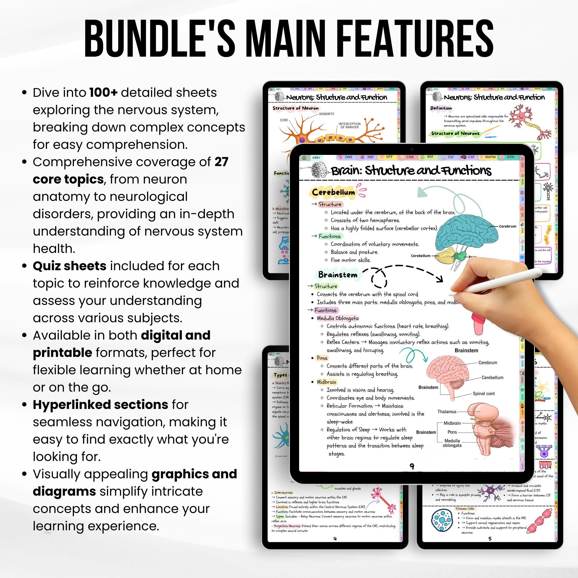 100+ Nervous System Notes Hyperlinked, Bonus Flashcards Stickers Study ...