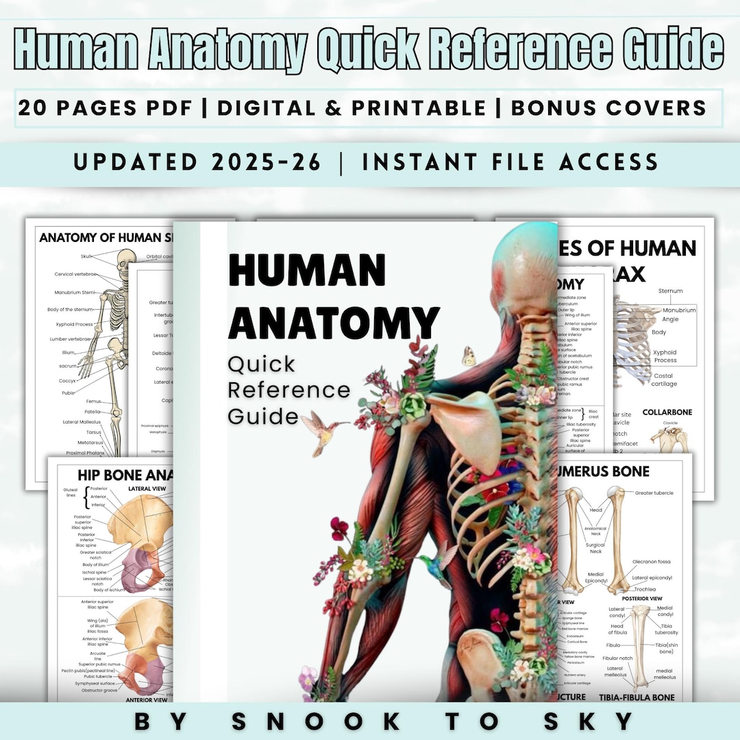 Human Anatomy Guide, 20 Pages Pdf, Human Body Systems Quick Guide, Med ...