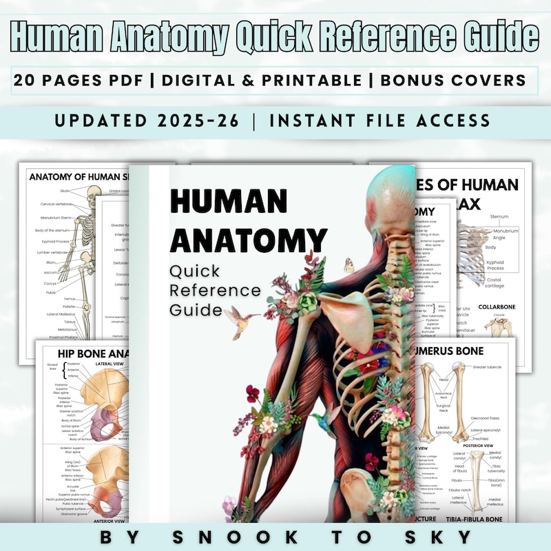 Human Bones Anatomy Pdf - Etsy