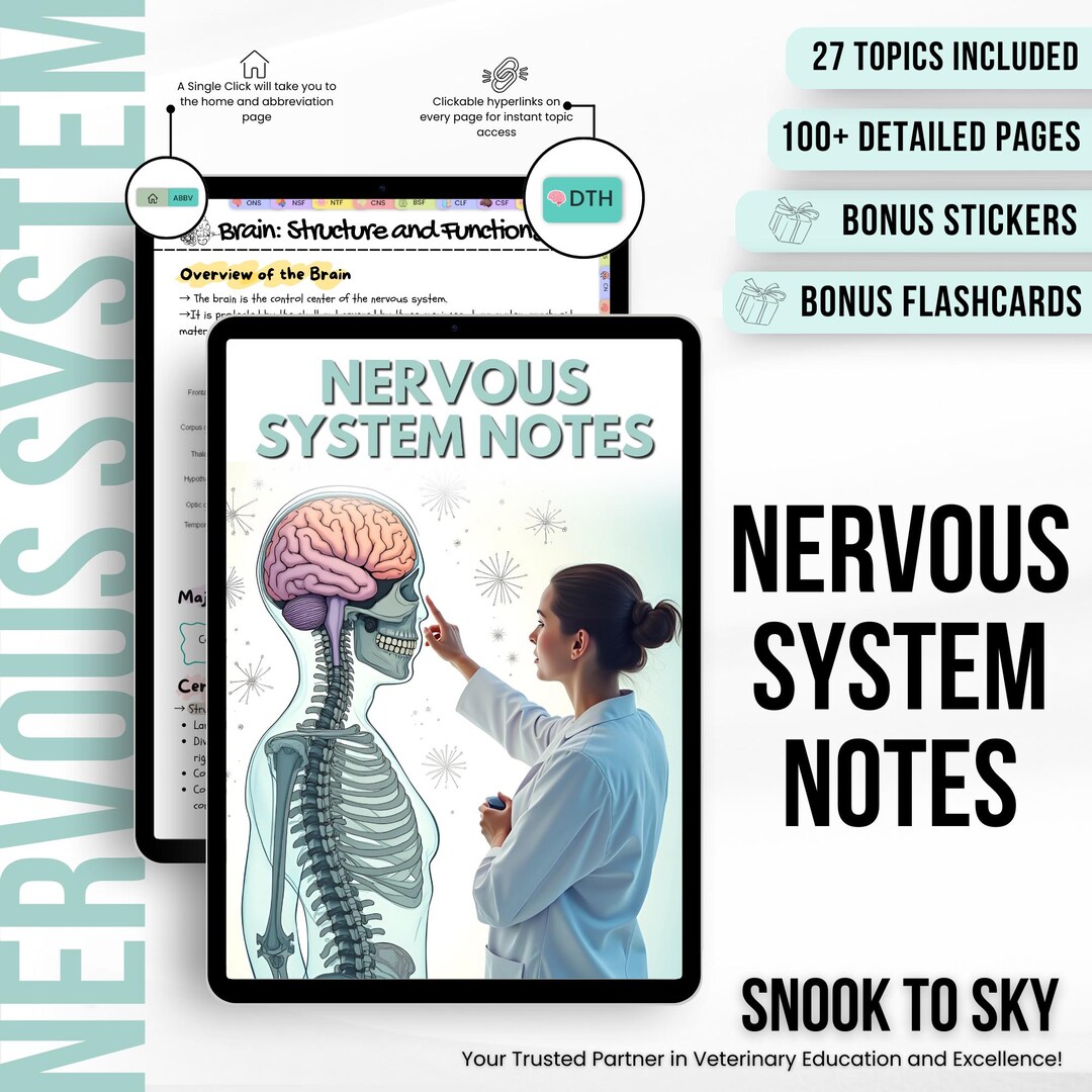100+ Nervous System Notes Hyperlinked, Bonus Flashcards Stickers Study ...
