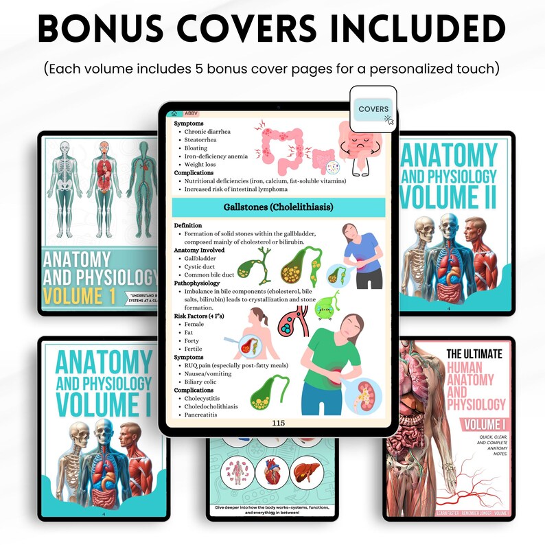 Anatomy & Physiology Mega Bundle With Flashcards Stickers Quizzes and ...