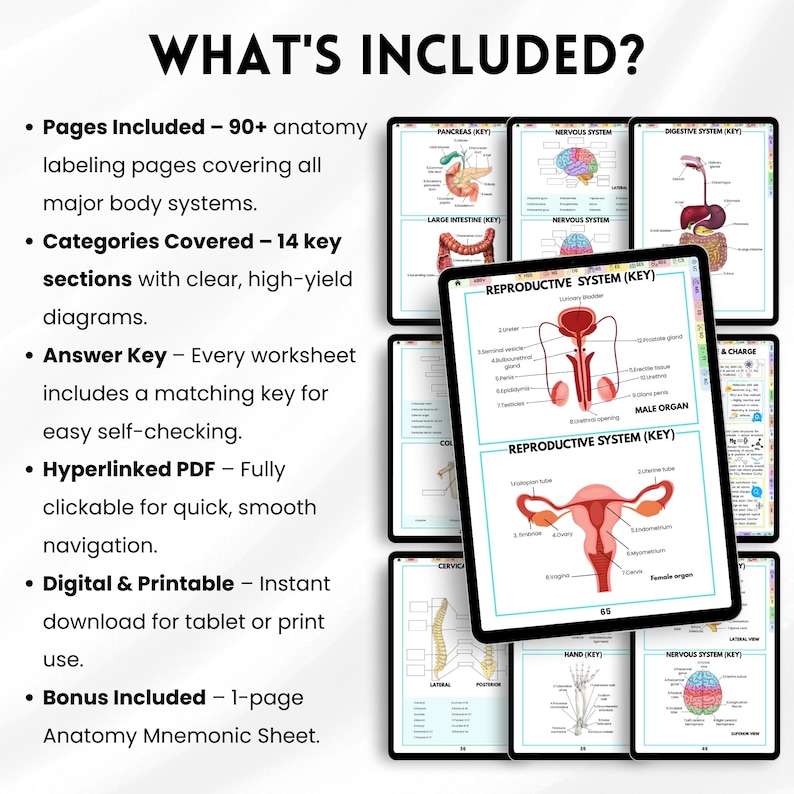 Anatomy Labeling Workbook | Nursing Study Guide | Human Body Systems ...