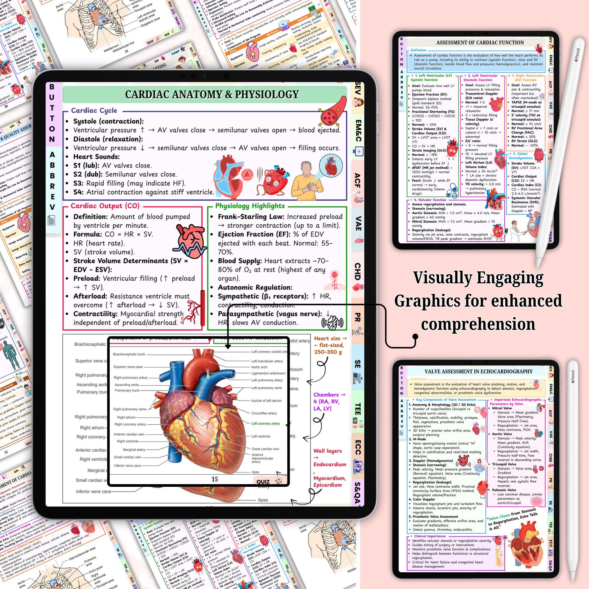 Echocardiography Study Guide, Cardiac Ultrasound Notes & Echo Exam Prep ...