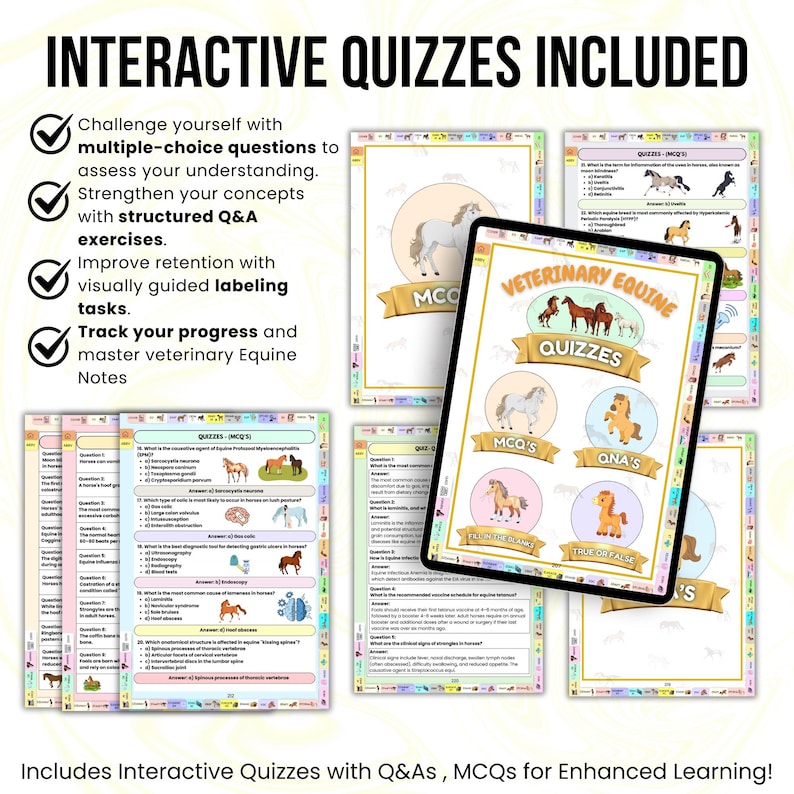 Equine Veterinary Notes Bundle Hyperlinked, Equine Medicine Notes ...