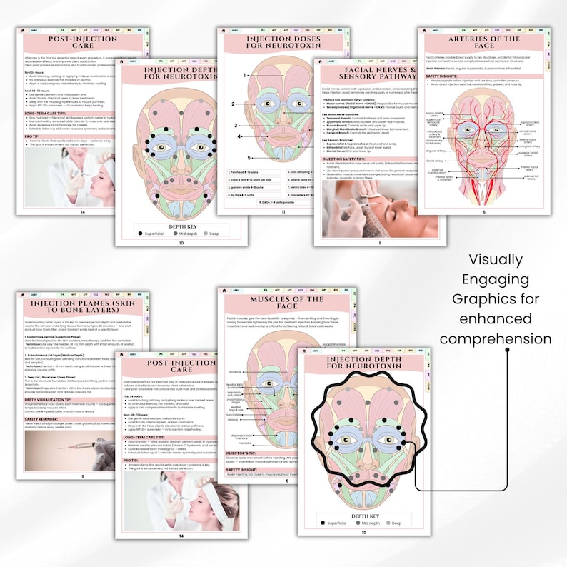 Injector’s Anatomy Guide | Aesthetic Nurse Study Guide | Bonus ...