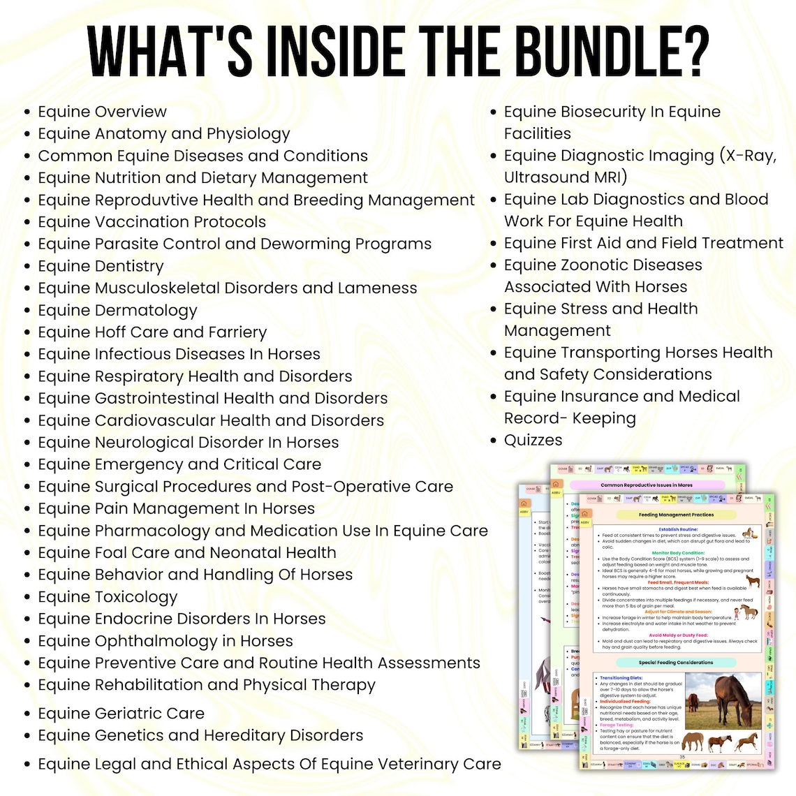 Equine Veterinary Notes Bundle Hyperlinked, Equine Medicine Notes ...