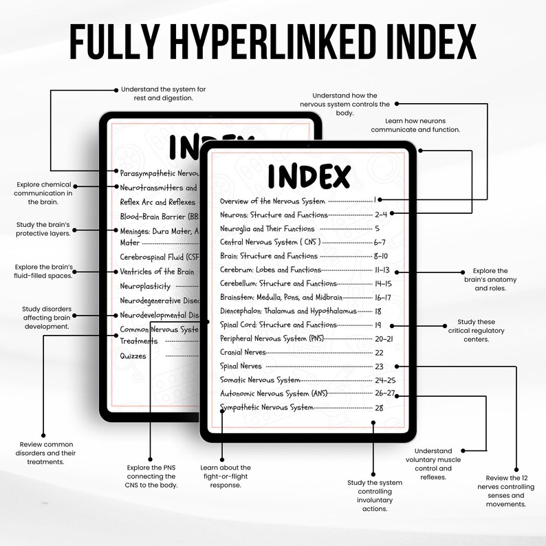 100+ Nervous System Notes Hyperlinked, Bonus Flashcards Stickers Study ...
