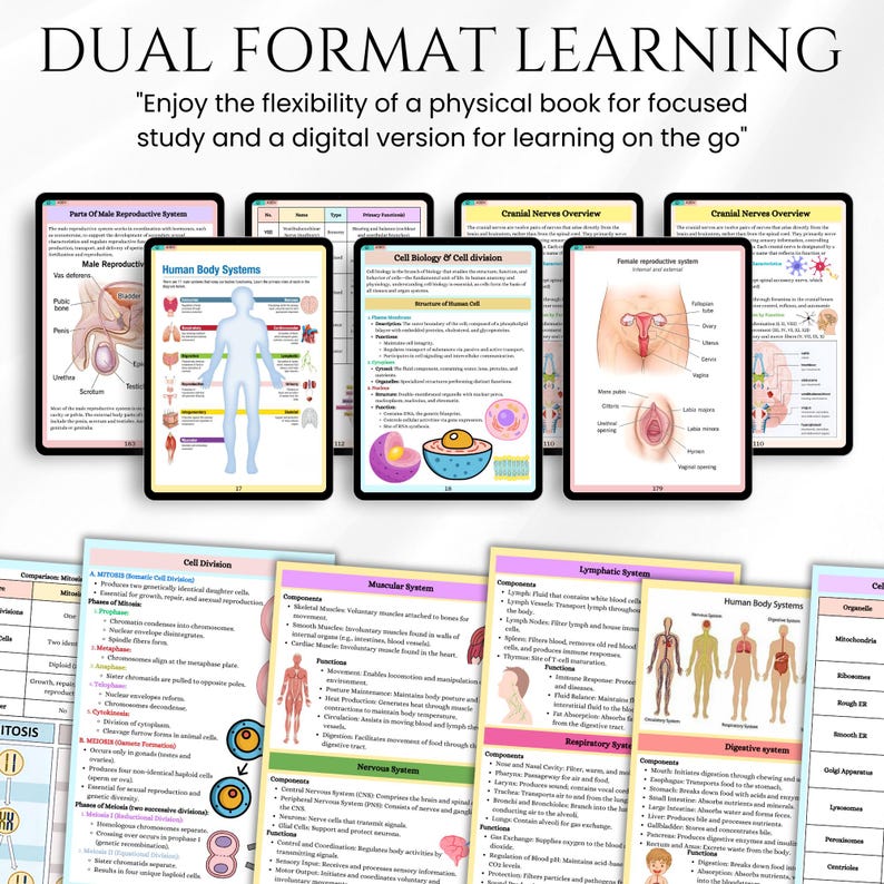 Anatomy and Physiology Study Guide | A&P Physical Book VI-VII | Human ...