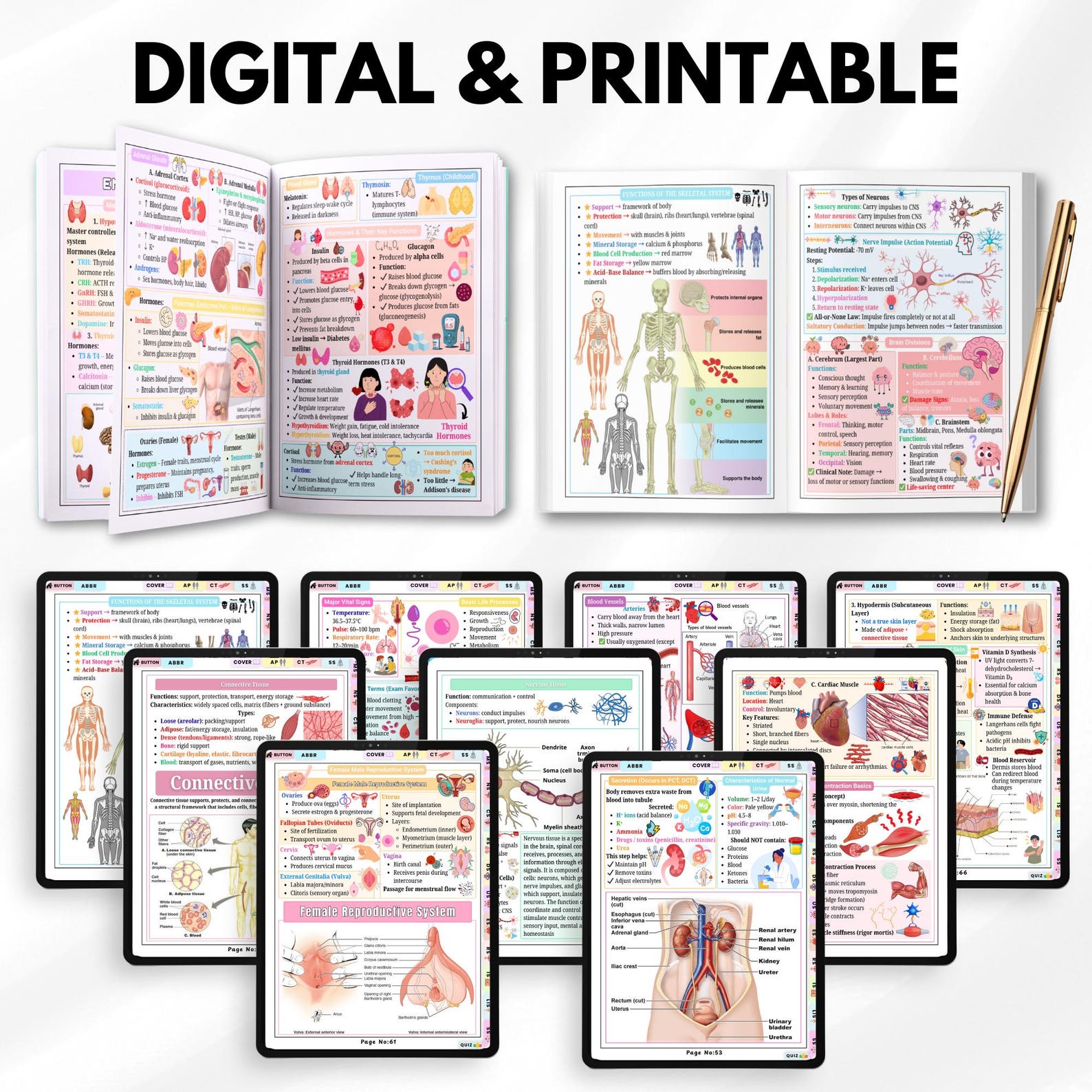 Anatomy and Physiology Cheat Sheet, A&P Nursing Study Guide, Human ...
