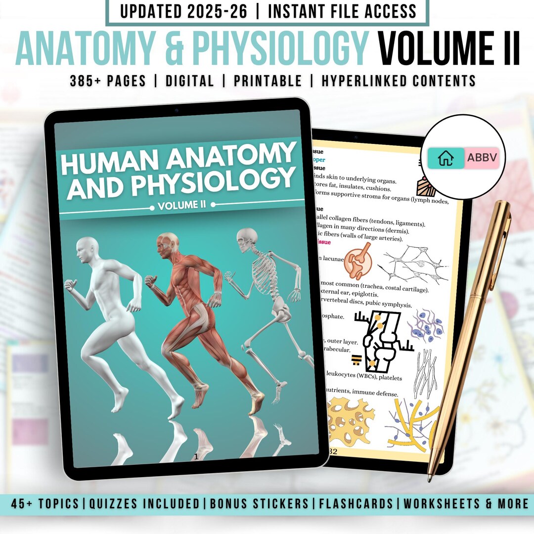 Anatomy & Physiology, Greys Anatomy Bundle With Flashcards and Sticker ...
