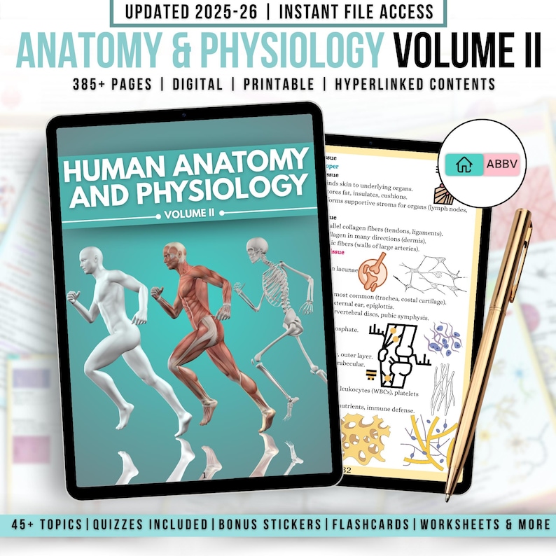 Anatomy & Physiology, Greys Anatomy Bundle With Flashcards and Sticker ...