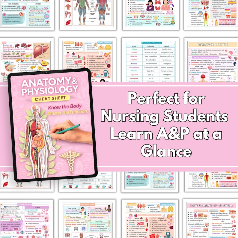 Anatomy and Physiology Cheat Sheet, A&P Nursing Study Guide, Human ...