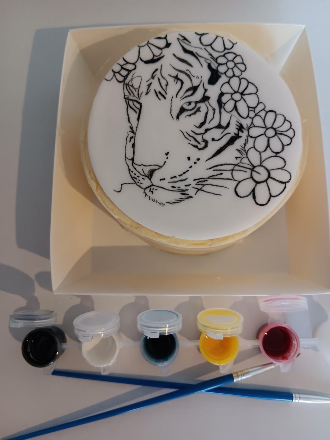 Paint Your Cake Kit - Etsy