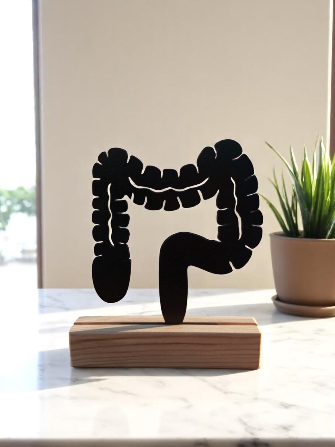 Intestine Wood Sculpture: Modern Medical Anatomy Art - Etsy